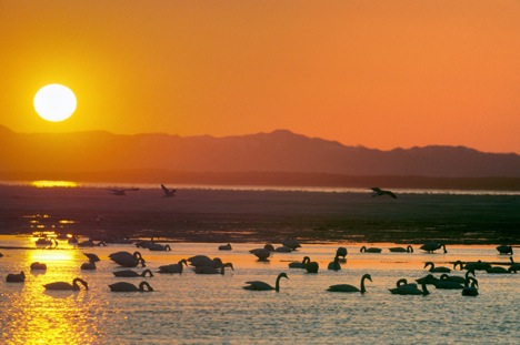 Nostalgia for the Russia of the 2000s - Russia Beyond