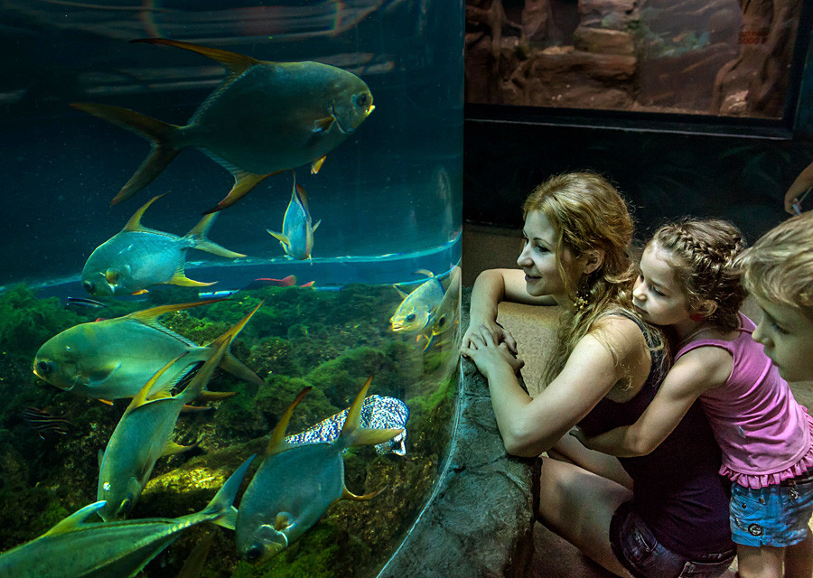Where to hang out in Moscow with your kids - Russia Beyond