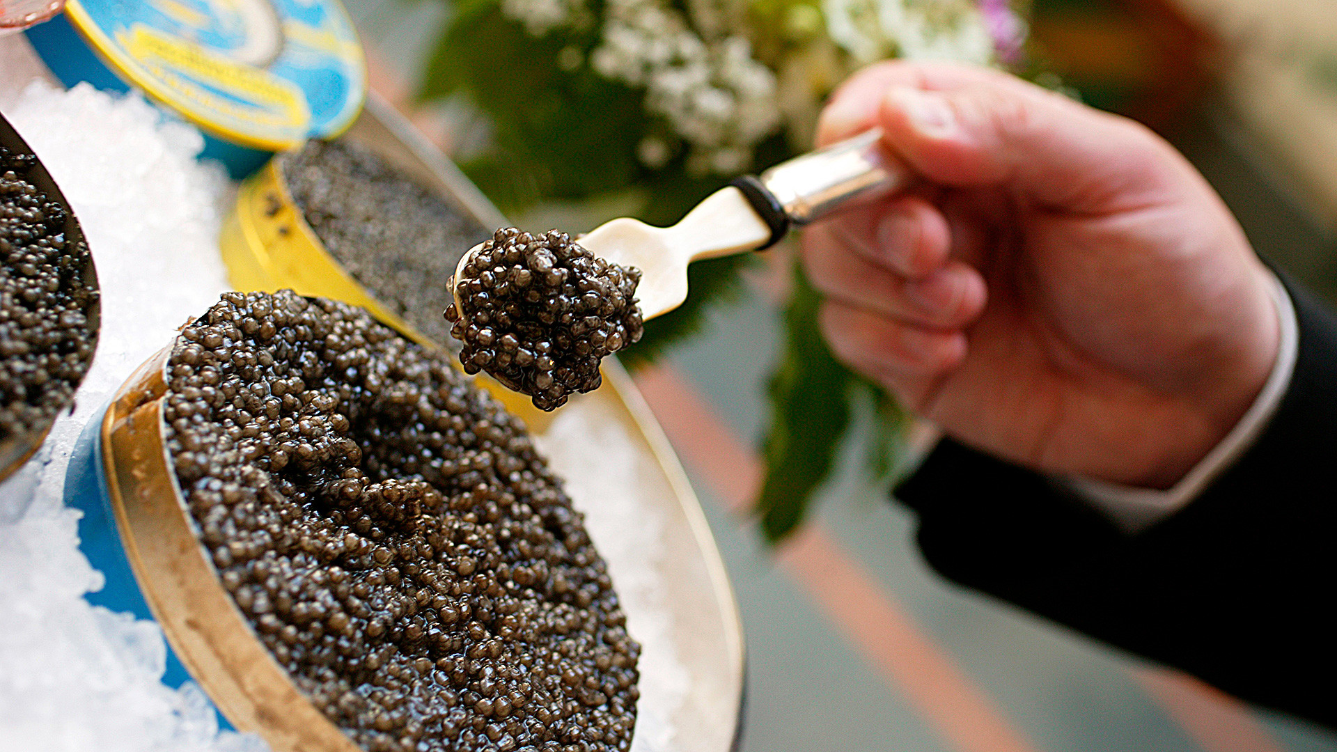 How poachers, smugglers, and the FSB go to war over caviar in Russia ...