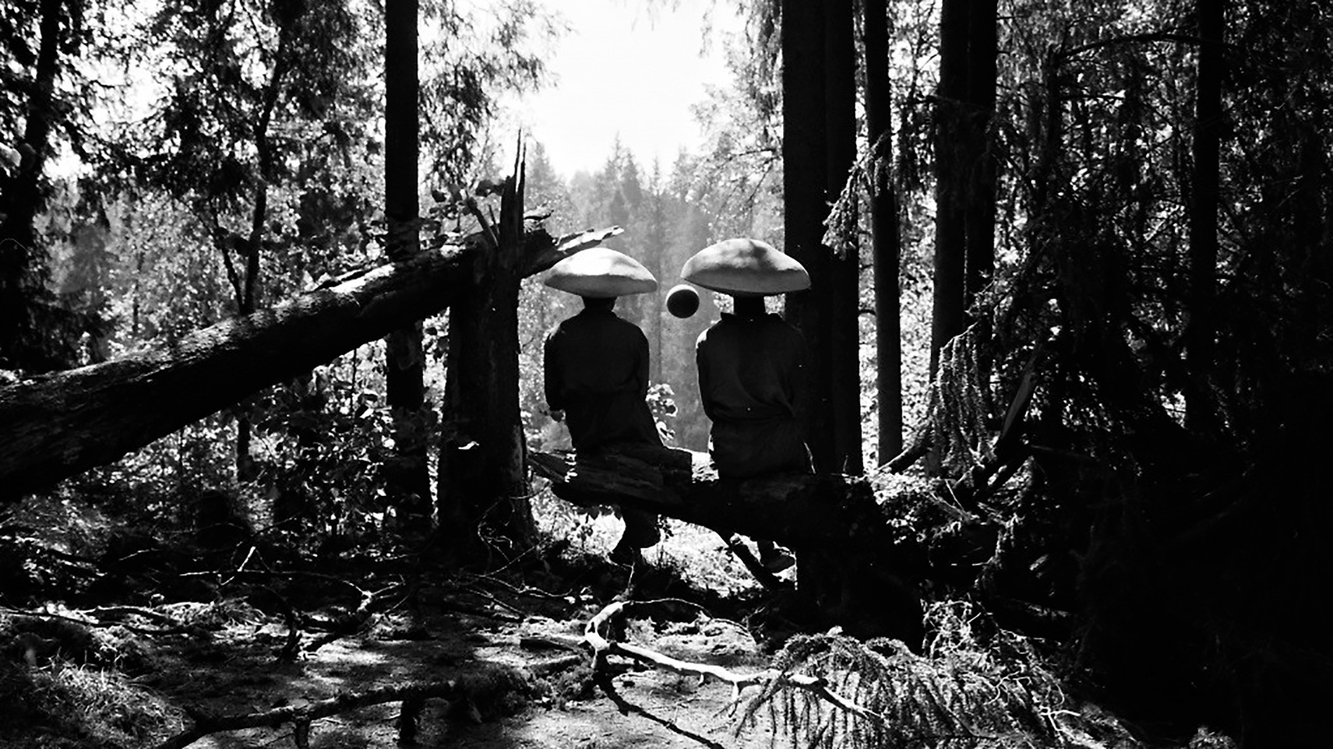 The top Russian movies to look out for in 2018 - Russia Beyond