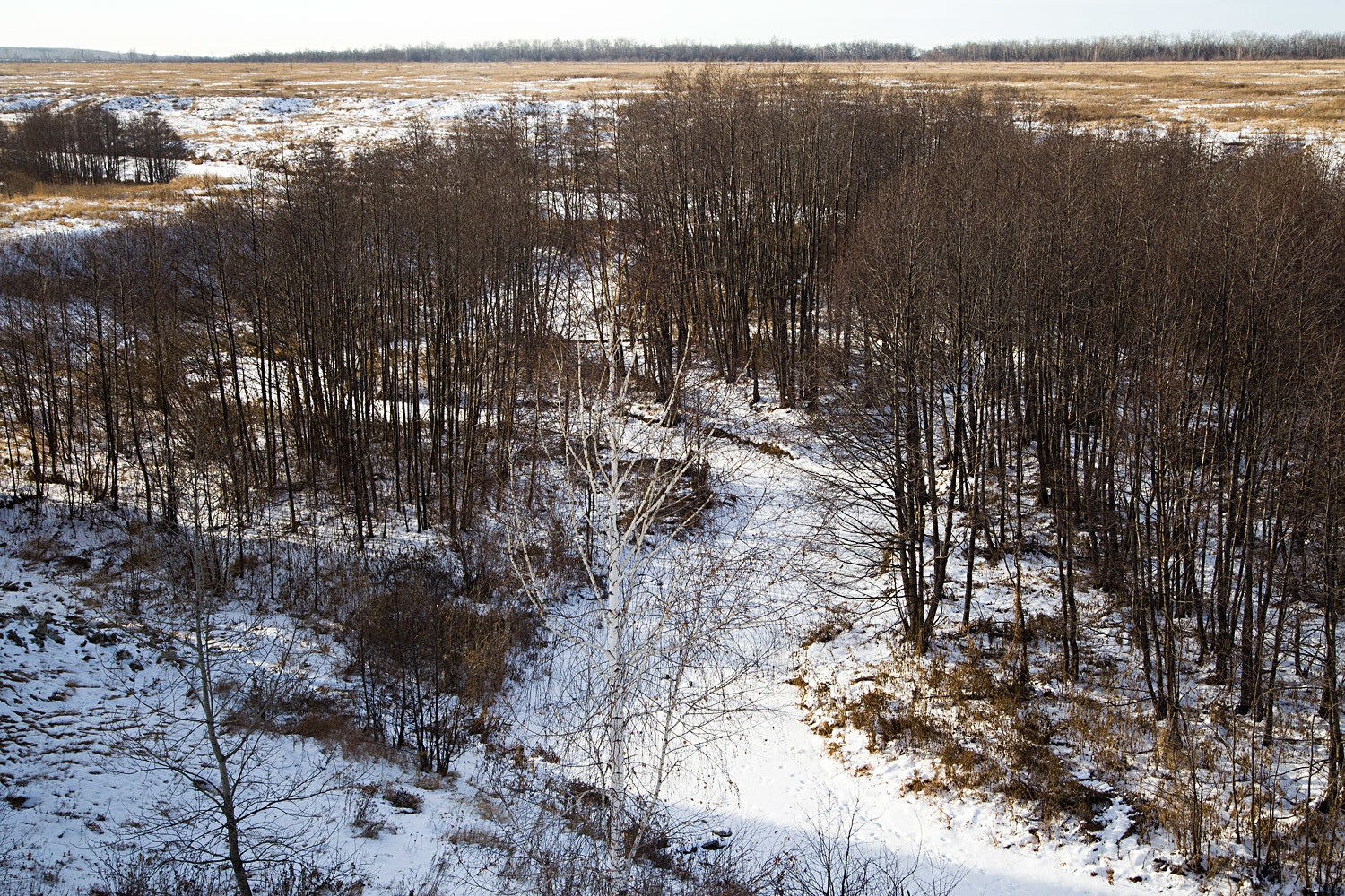 Il disastro di Kyshtym, la terza più grave catastrofe nucleare della ...