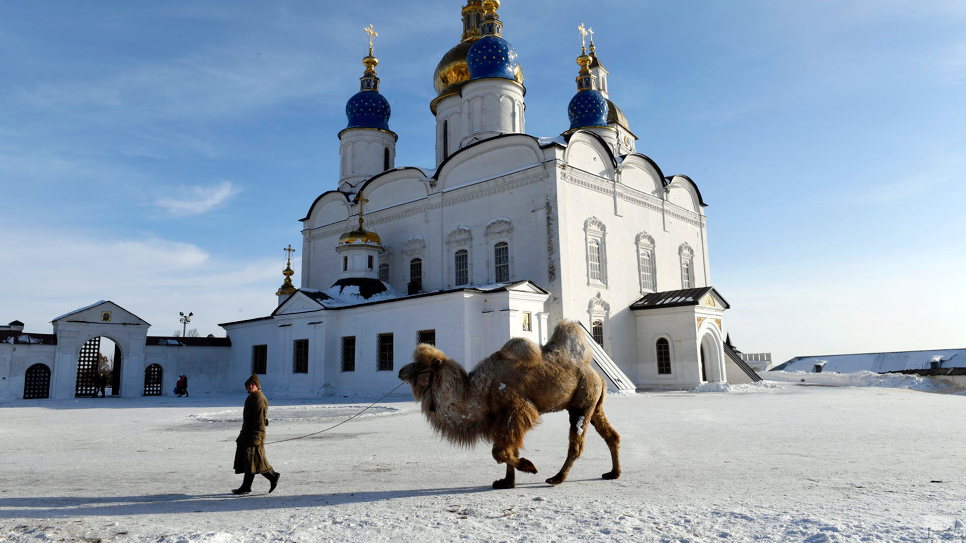 Best of Russia 2017: 15 großartige Bilder vom Leben überall in Russland ...