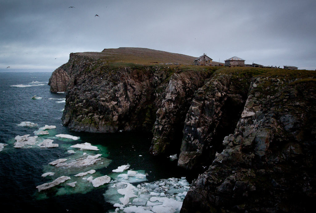 Bienvenido a la isla de Wrangel, el territorio del oso polar (Fotos ...