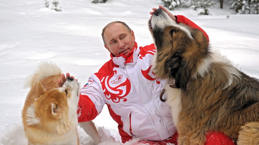 Todos os cães de Putin - Russia Beyond BR