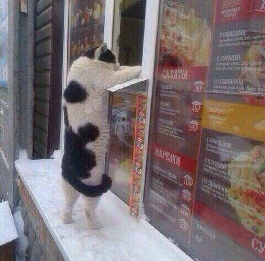 17 memes that will make you rethink Slavic food - Russia Beyond