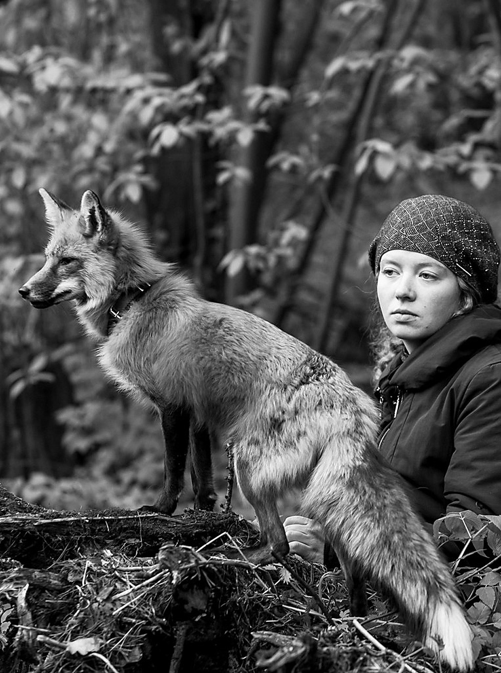 Akademgorodok: "Silicijeva dolina" sredi sibirske tajge - Russia Beyond ...