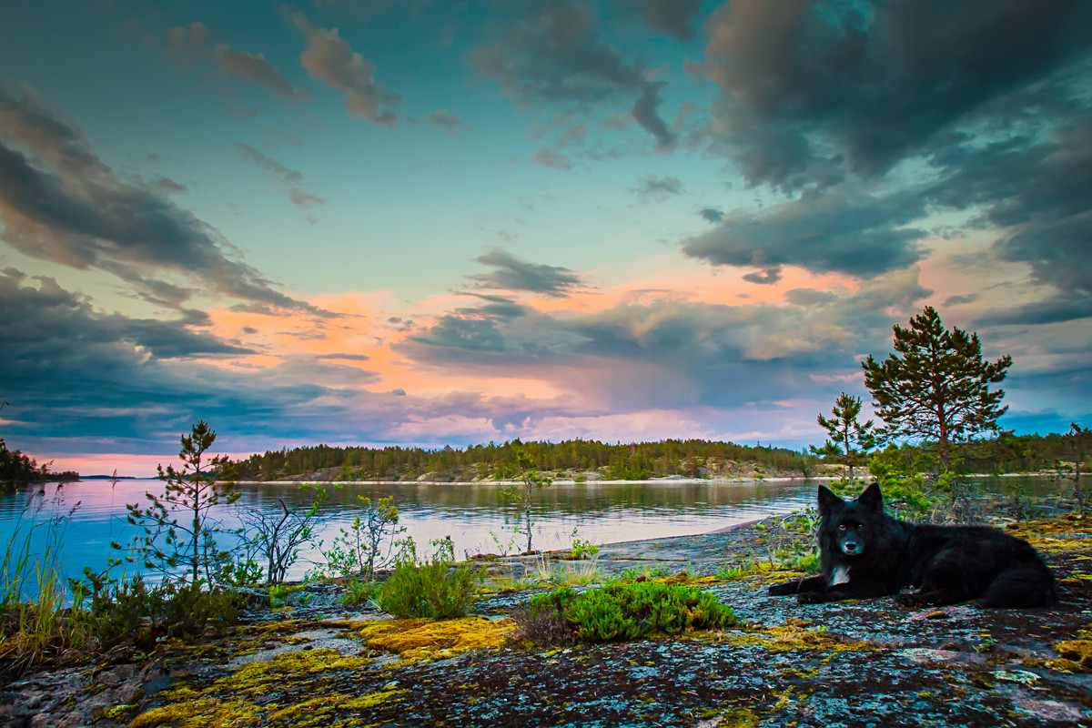 Lago Ladoga, paradiso del nord - Russia Beyond - Italia