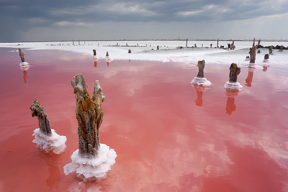 Pink lake in Crimea blows Instagram minds (PHOTOS) - Russia Beyond