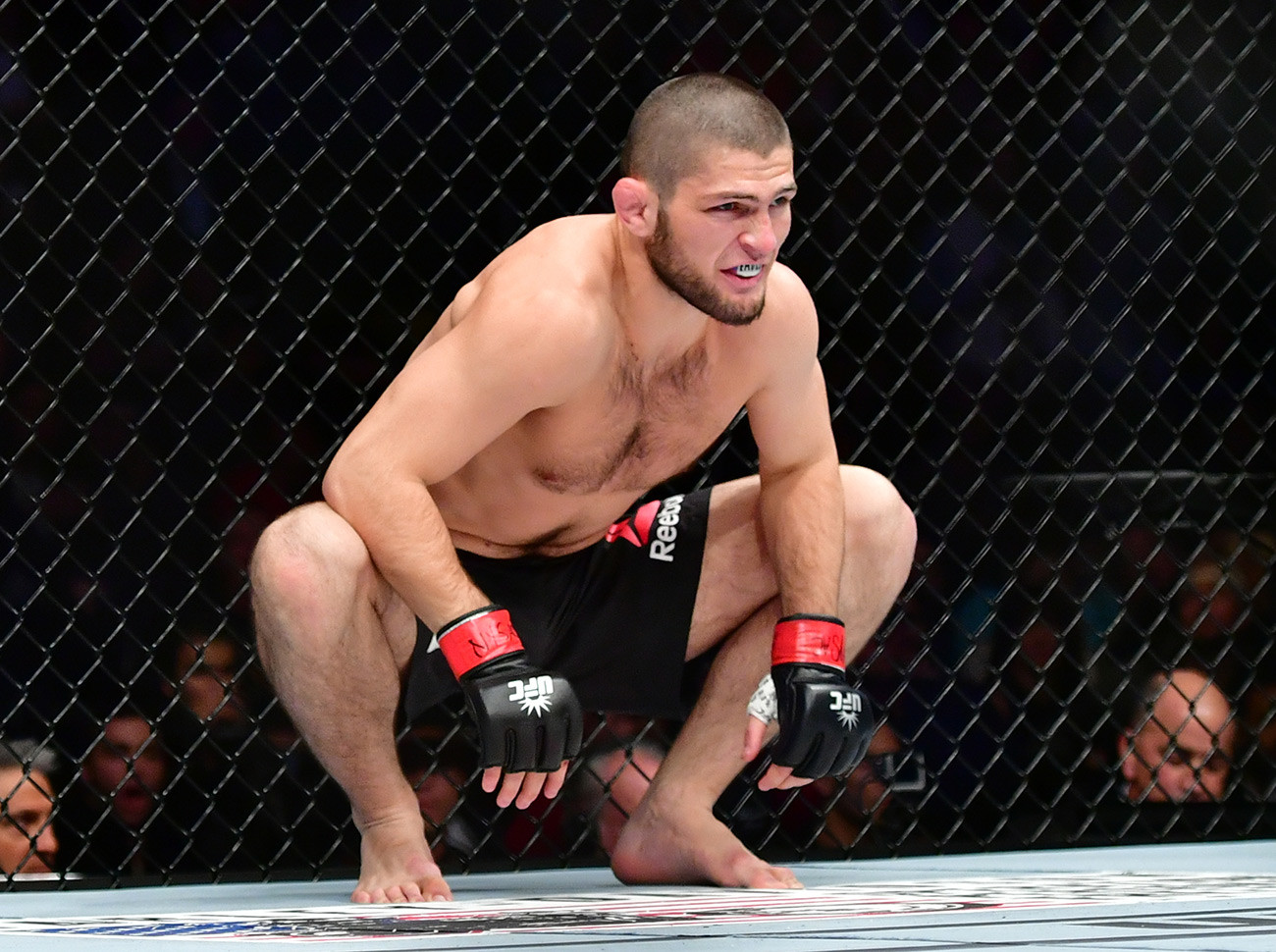 Sieben Fakten über MMA-Champion Chabib „The Eagle“ Nurmagomedow ...