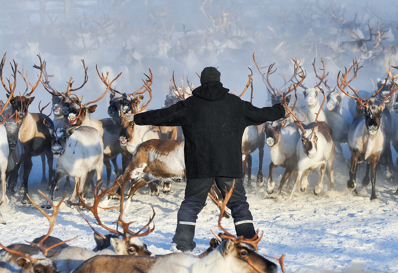 Chi sono i Sami e come si vive nella “Lapponia russa”? - Russia Beyond ...