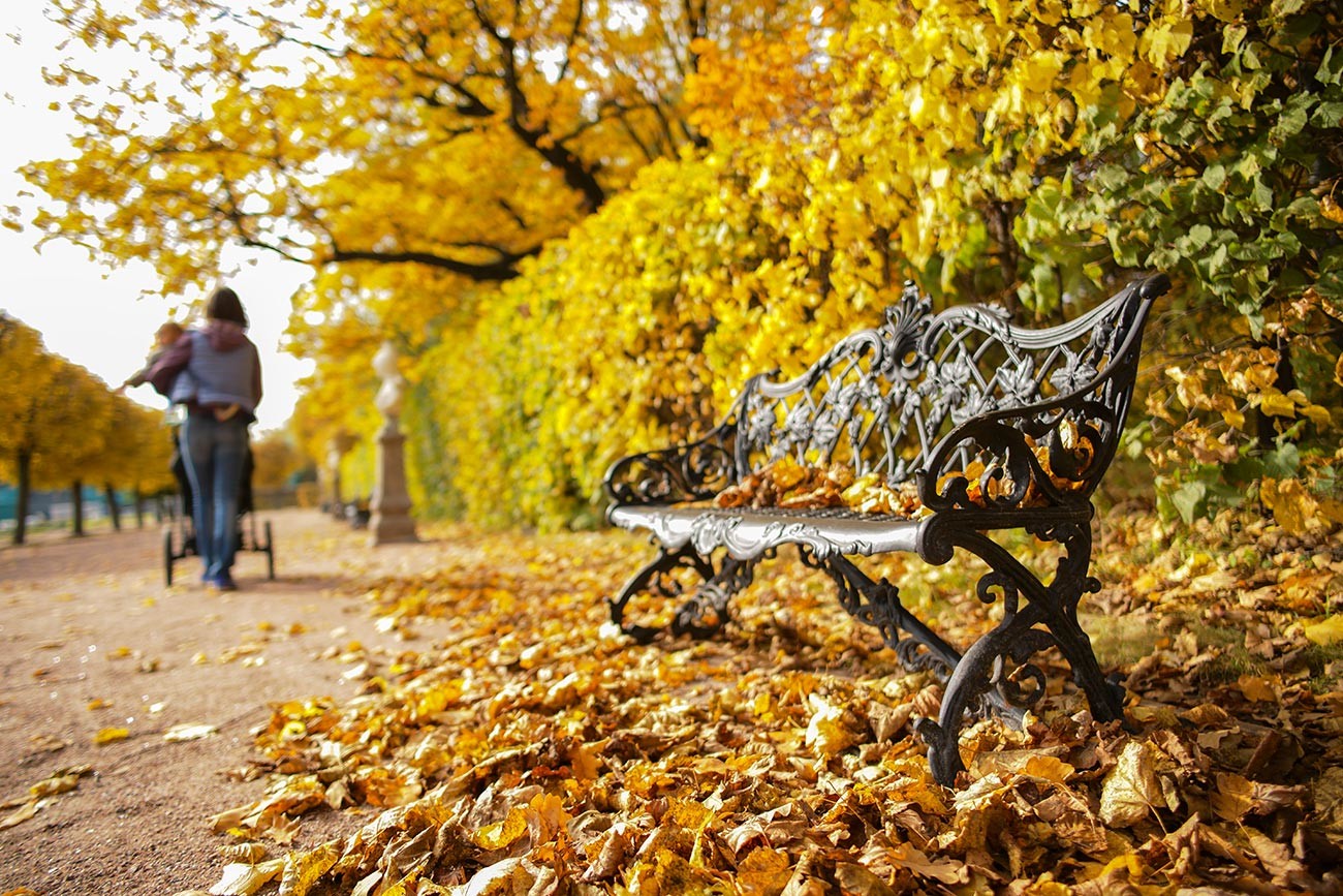 Stunning PHOTOS of Russia’s golden fall - Russia Beyond