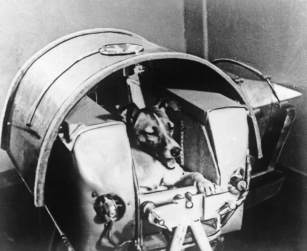 Pourquoi les Soviétiques ont-ils envoyé des chiens et non des singes ...