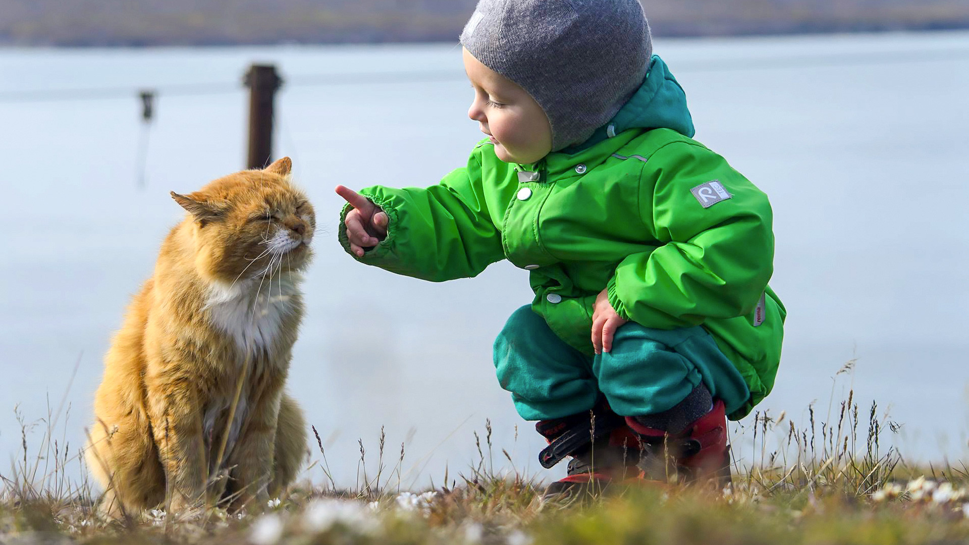 Kescha der Kater: Treffen Sie das einzige Samtpfötchen im gesamten ...