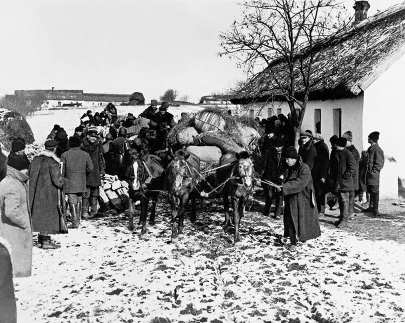 Los primeros años de las granjas colectivas soviéticas aprobadas por el ...
