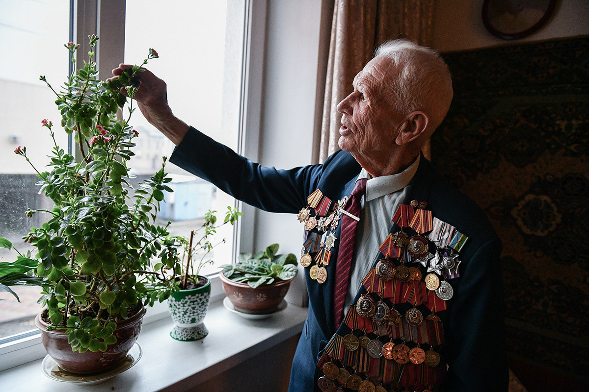 10 most popular houseplants in Russia - Russia Beyond