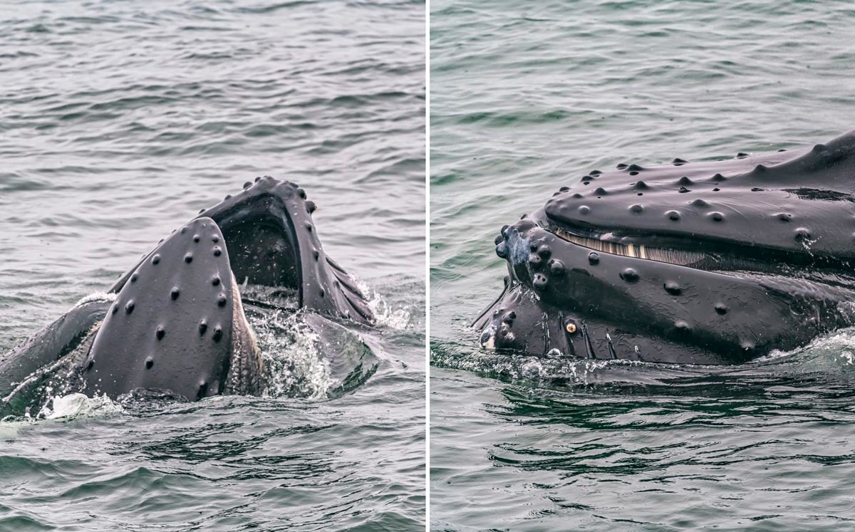 Incredible PHOTOS of Russia's most hard-to-reach places