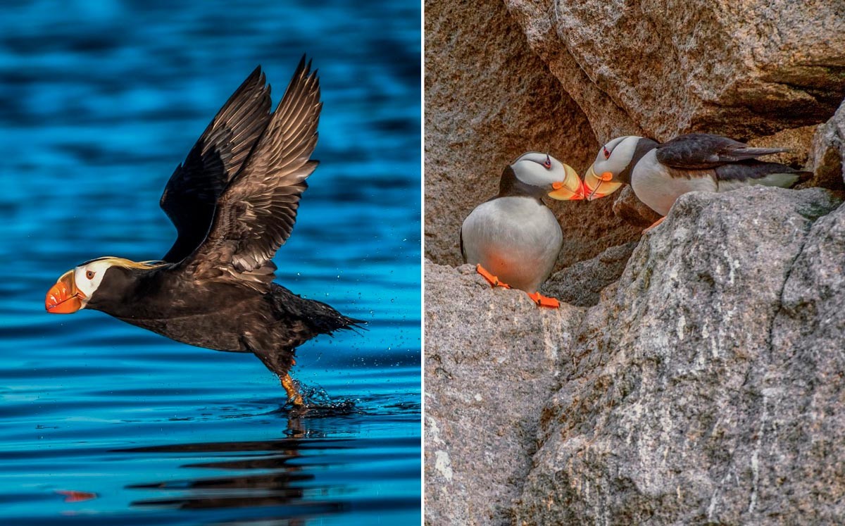 Incredible PHOTOS of Russia's most hard-to-reach places