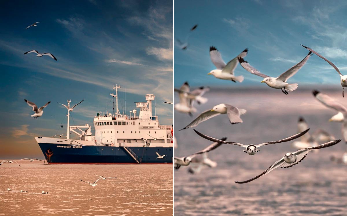 Incredible PHOTOS of Russia's most hard-to-reach places