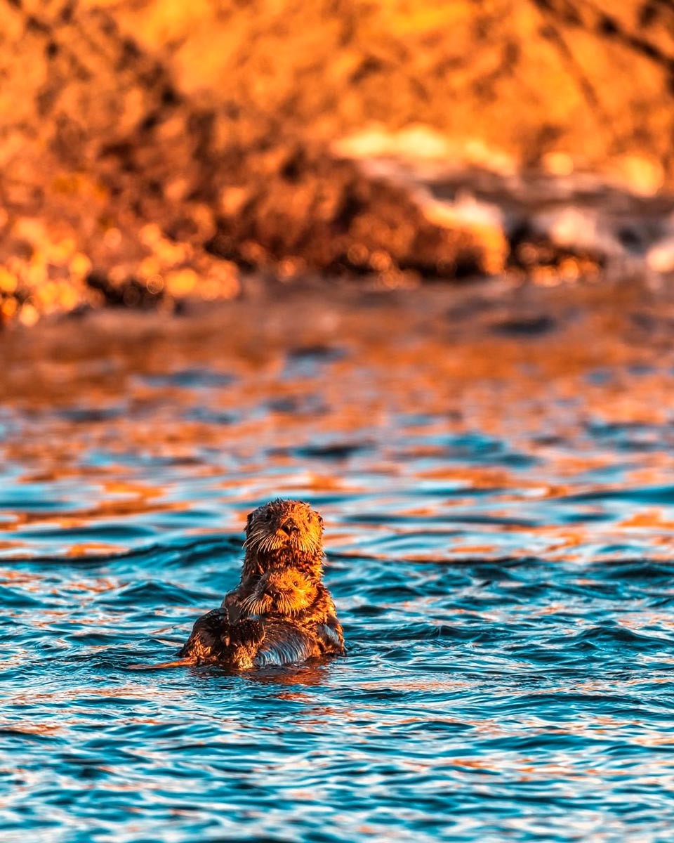 Incredible PHOTOS of Russia's most hard-to-reach places