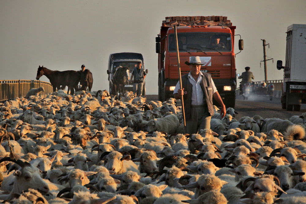 Lonely shepherds of Dagestan - Russia Beyond