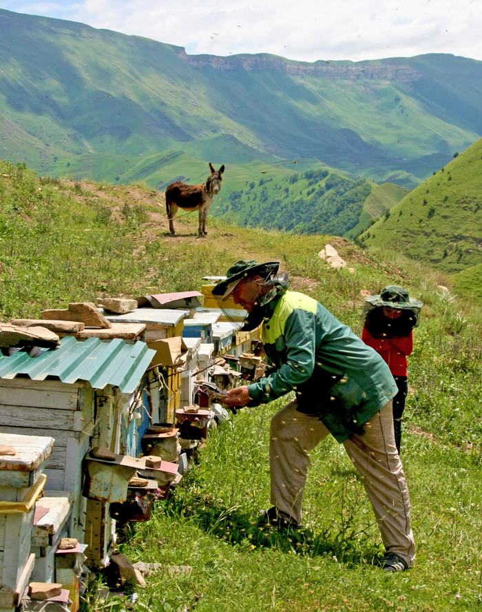 Lonely shepherds of Dagestan - Russia Beyond