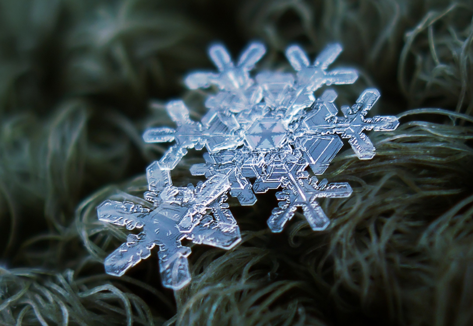 Image'n'Nation: Macro shots of natural snowflakes - Russia Beyond