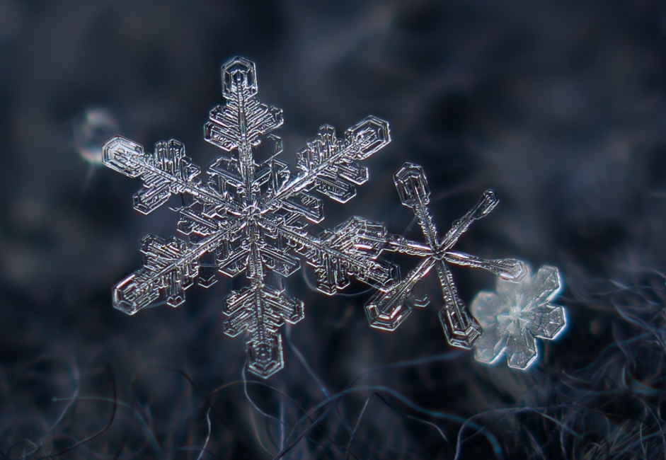 Image'n'Nation: Macro shots of natural snowflakes - Russia Beyond