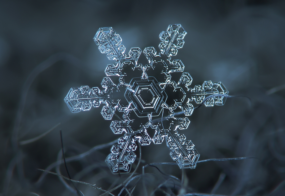 Image'n'Nation: Macro shots of natural snowflakes - Russia Beyond