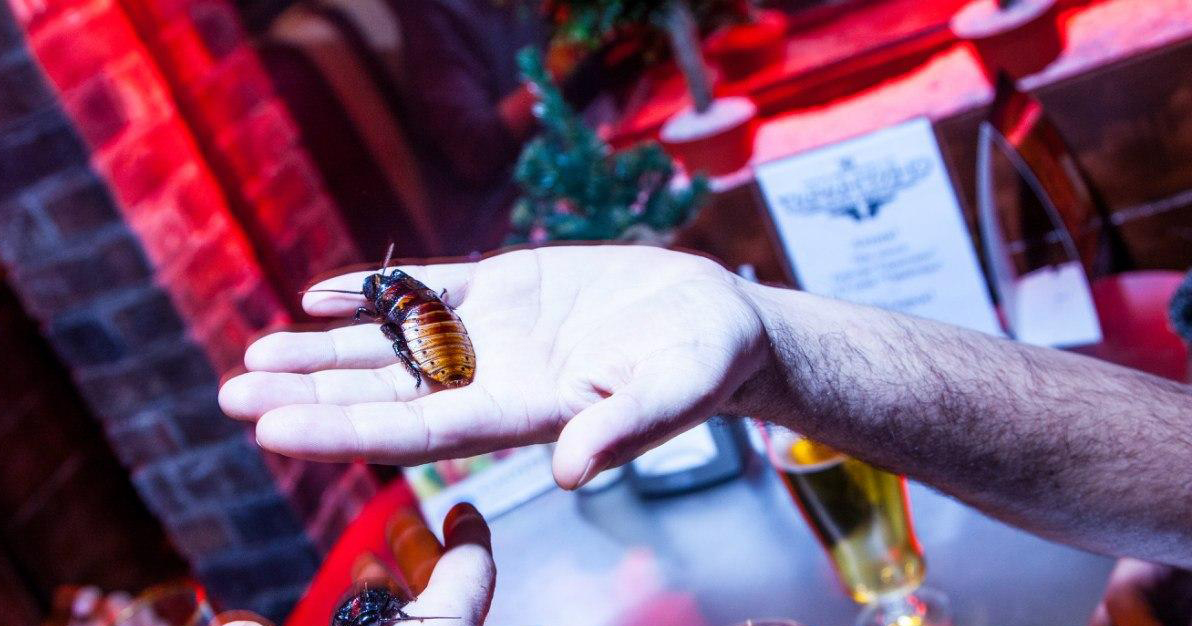 Lord of the cockroaches - Russia Beyond