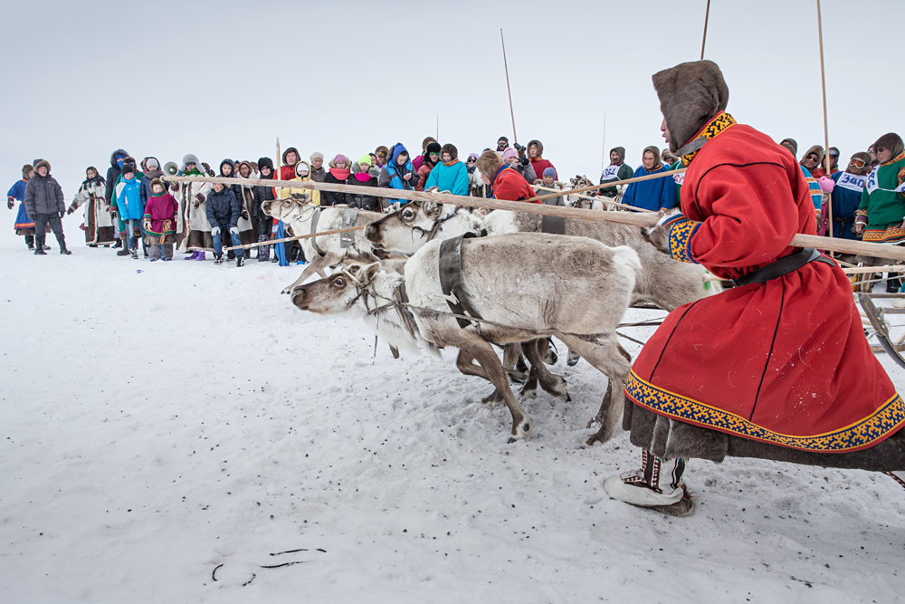Reindeer race - Russia Beyond