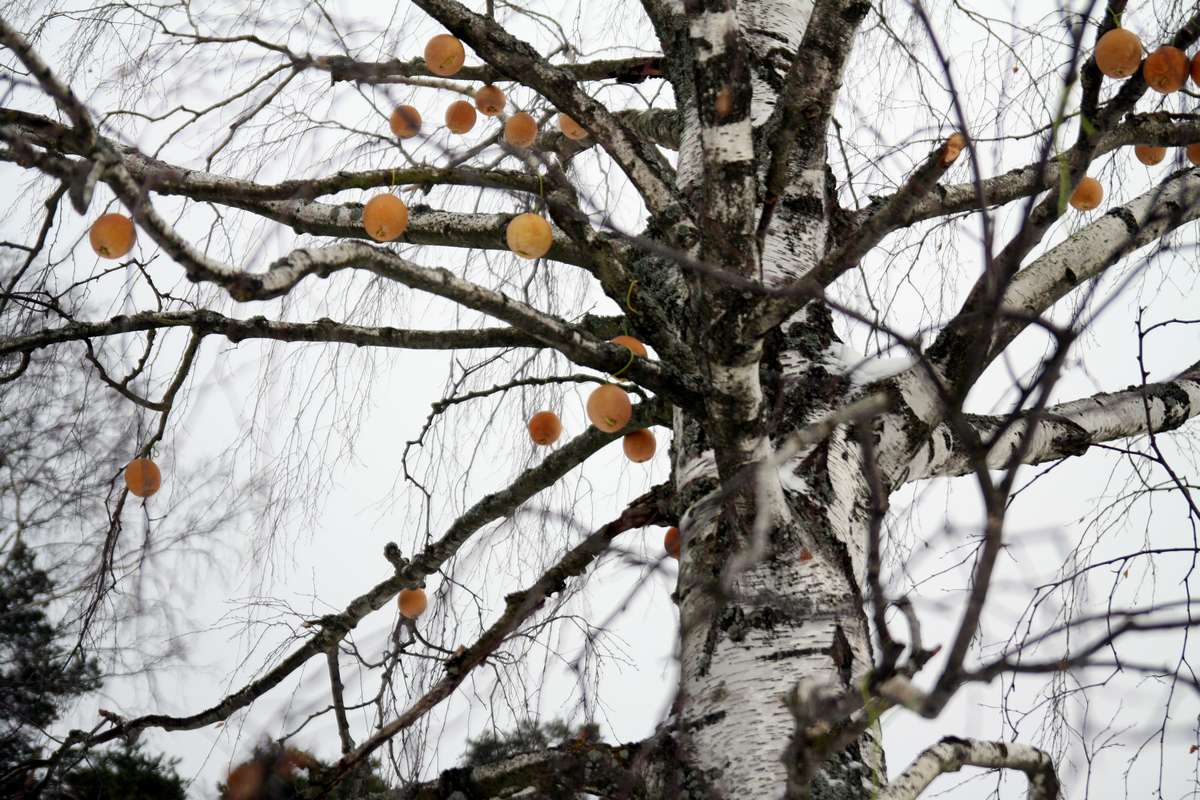 Winter is coming: The one and only Russian season - Russia Beyond