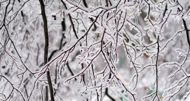 Moscow pelted by freezing rain - Russia Beyond
