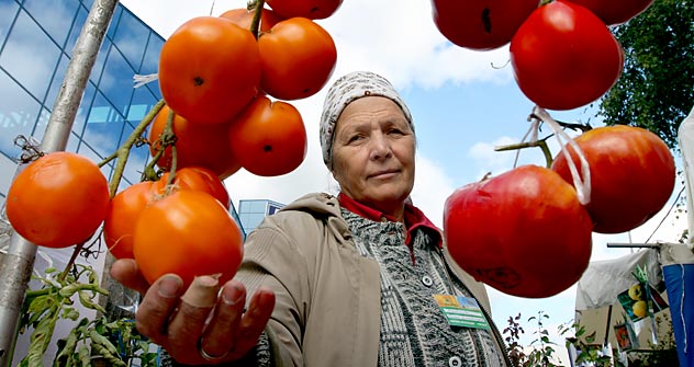 Regulating organic food production - Russia Beyond