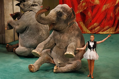 Acting beastly: The theater where bears and chimps take center stage ...