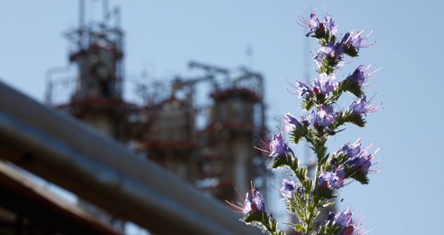 SIBUR pioneering expansion to India - Russia Beyond