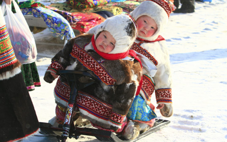 A window into the wild tundra - Russia Beyond